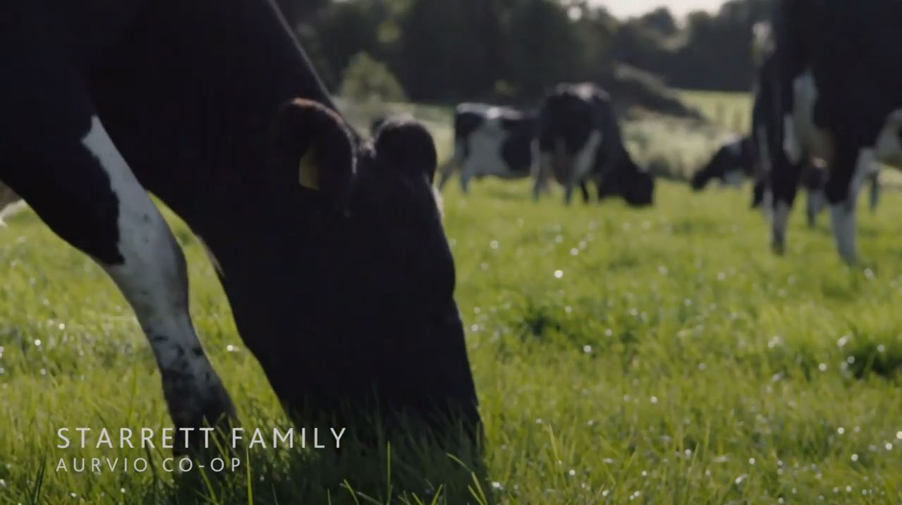 Starrett Family Farm Lifford win prestigious award, a 1st for Donegal ...