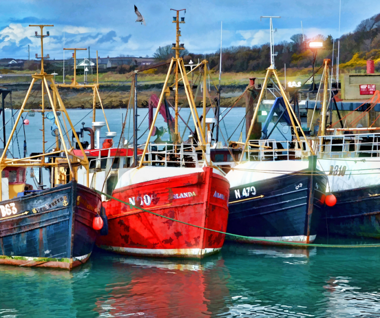 EU Commission fishing quota decision labelled a betrayal - Highland ...