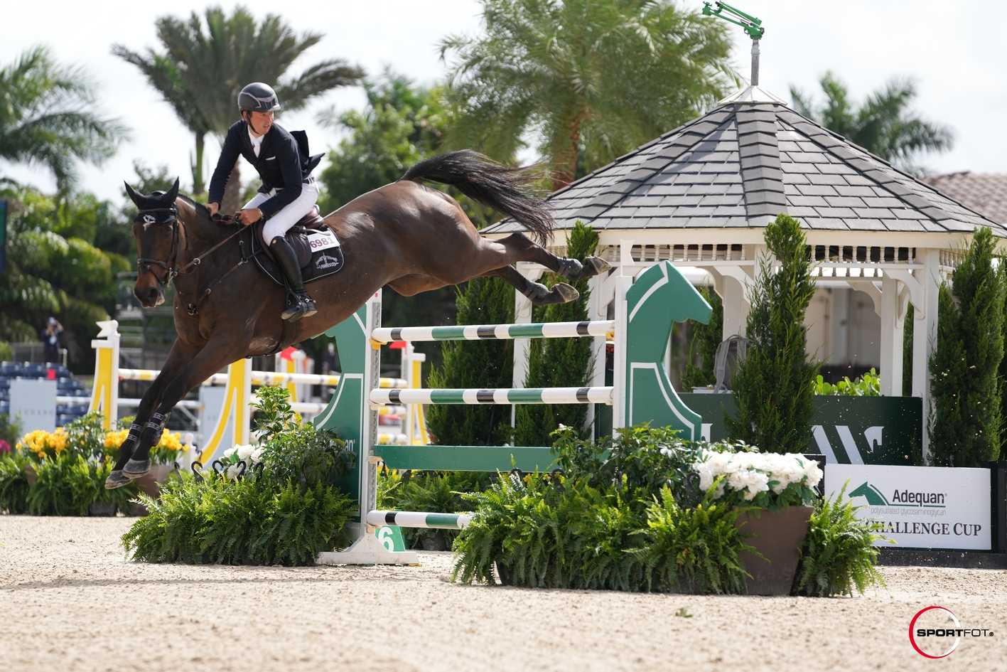 Donegal bred horse wins 5* showjumping class in Florida - Highland ...