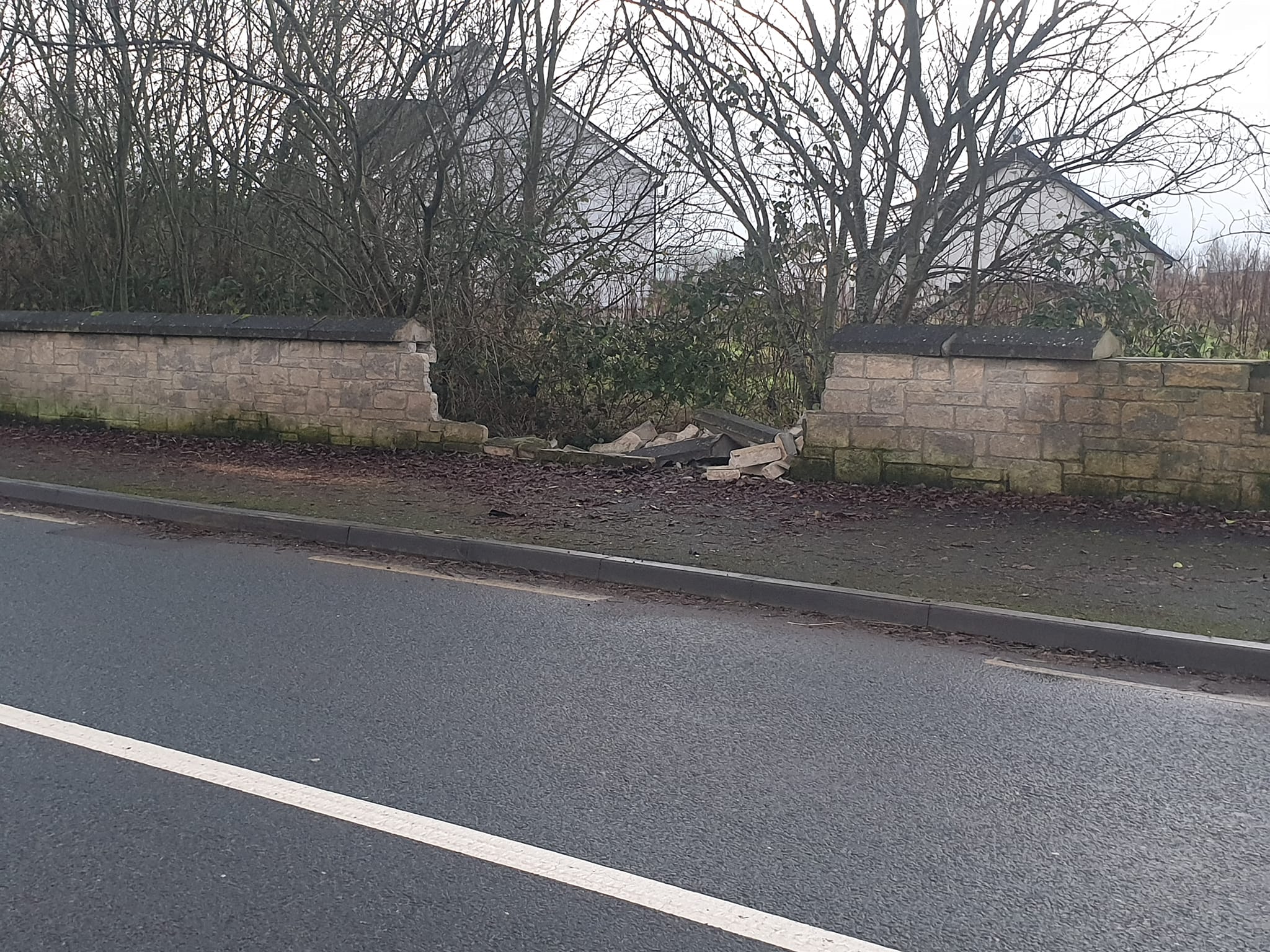 Carrigans Tidy Towns appeal for information follow collision with two ...