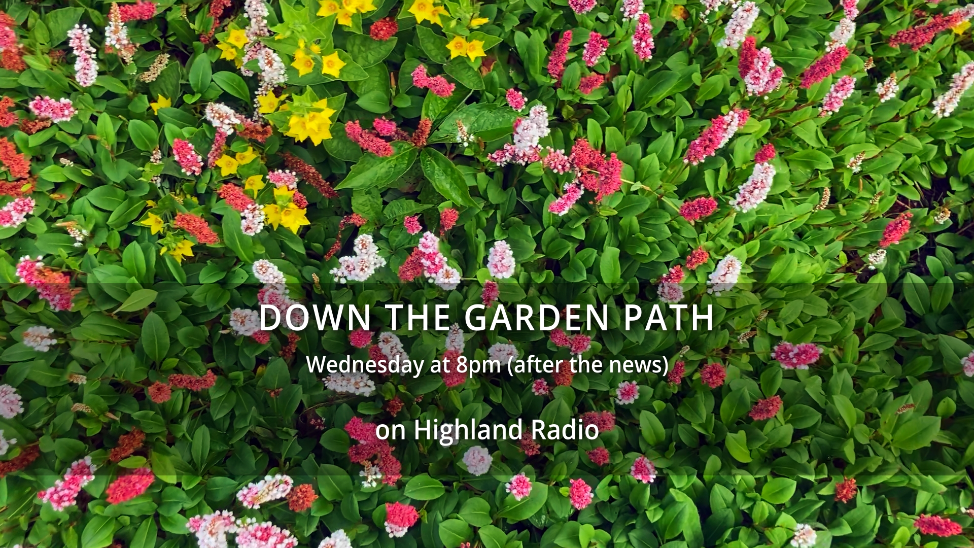Down the Garden Path Programme 1 - Cluain na dTor - Highland Radio ...