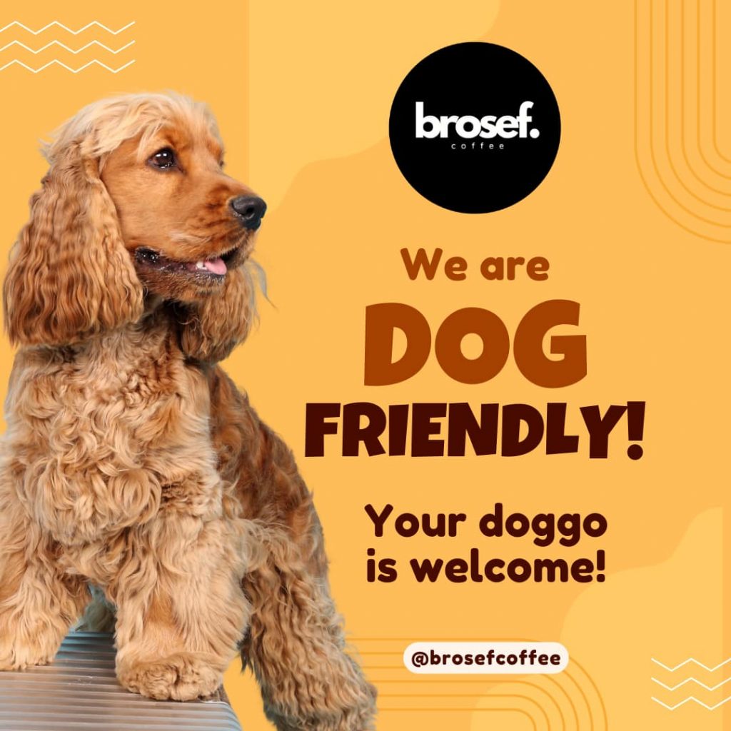 Business Matters, Ep 202: Brosef, the pet-friendly coffee shop - plus a ...