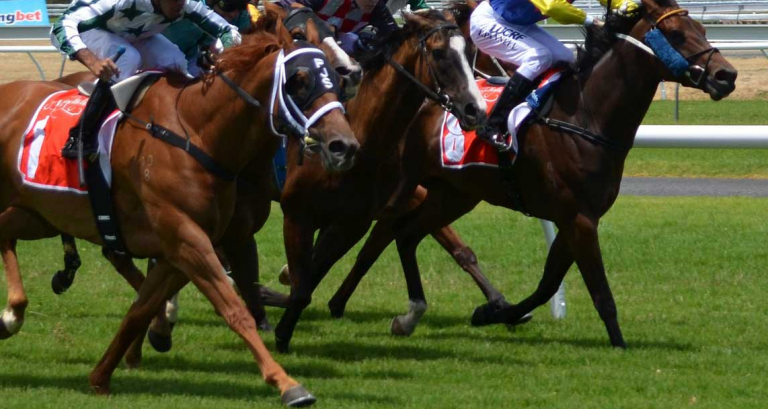 Cork success for Donegal jockeys - Highland Radio - Latest Donegal News ...
