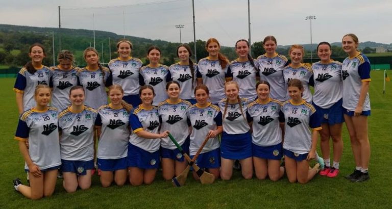 Donegal Senior Camogie Final Preview with James Callaghan & Peter ...