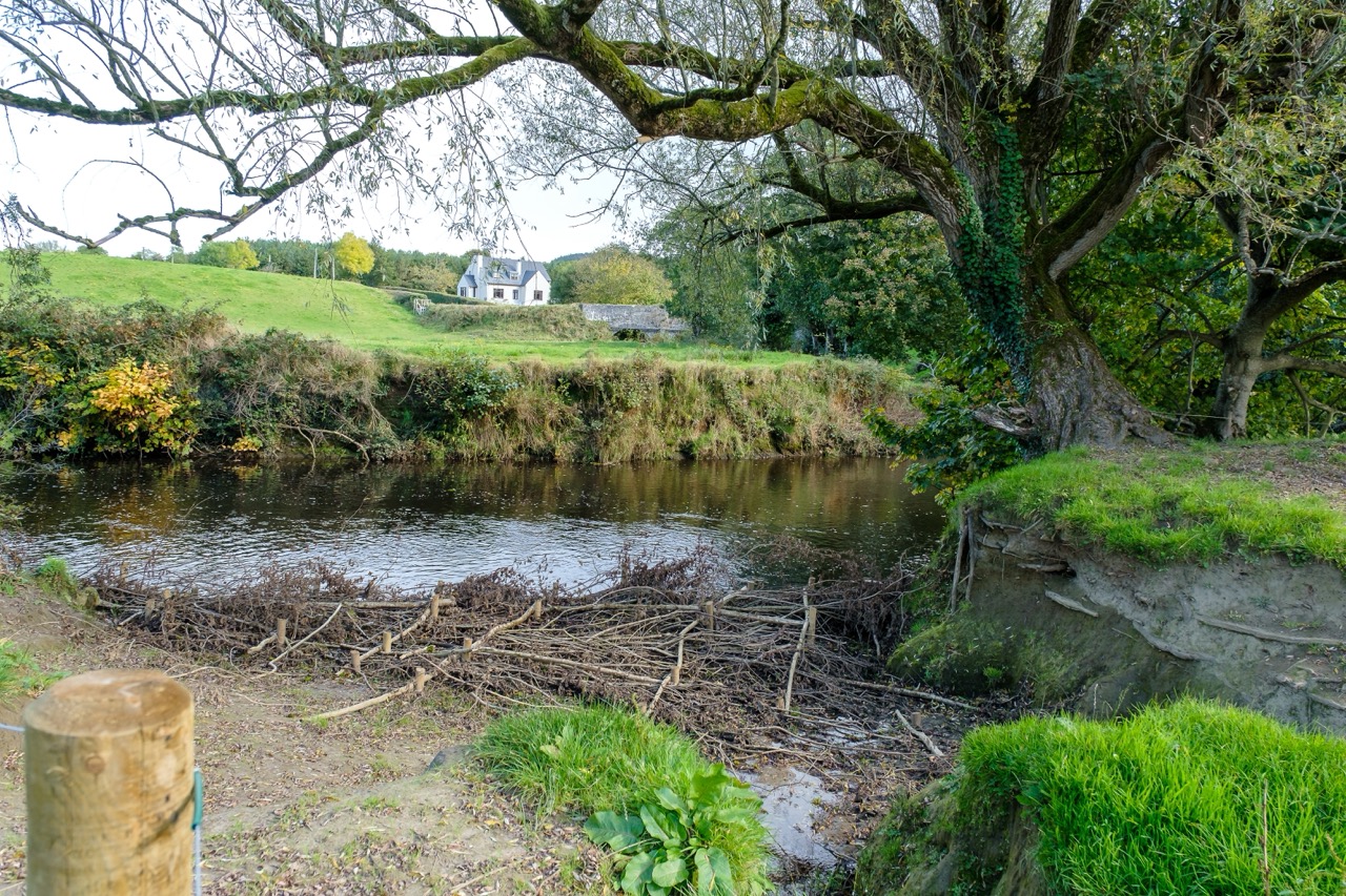 Project to enhance biodiversity and water quality along Deele River ...