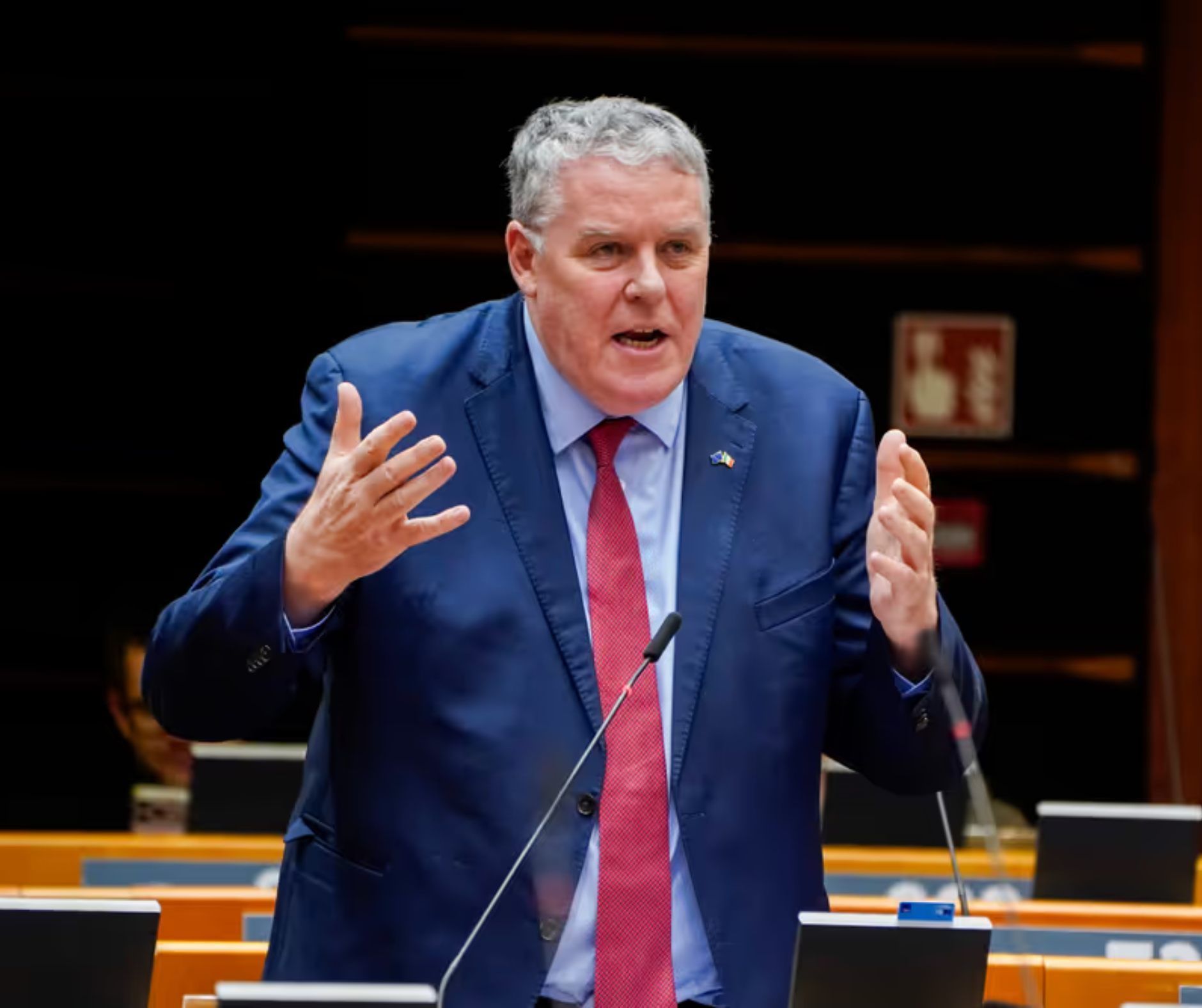 MEP Mullooly calls for Hague Preferences to be invoked to protect ...