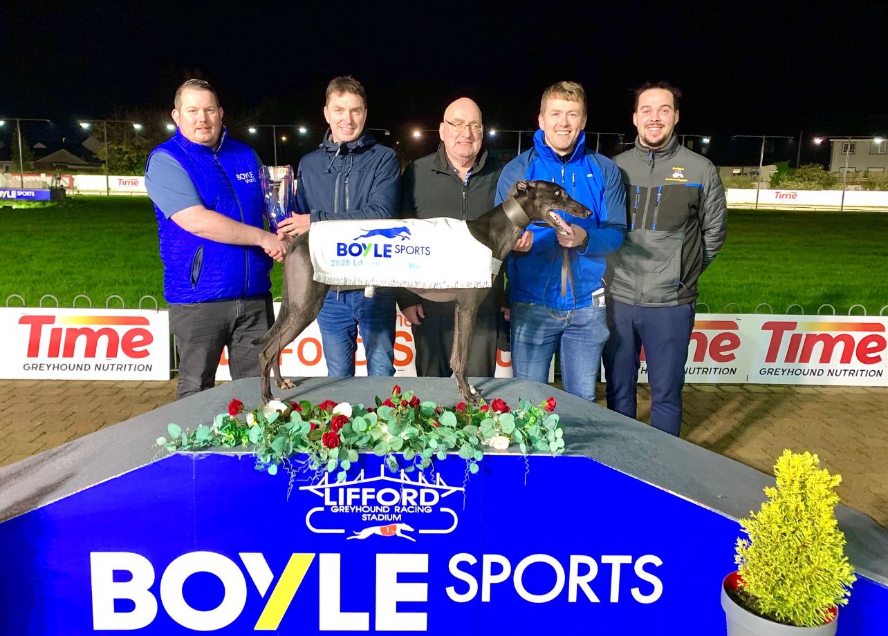Magical Mag and Ballymac Jedgar among the big winners on massive night ...