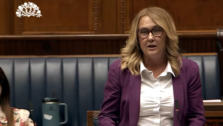 Ferguson speaks in favour of repealing homeless criminalisation ...
